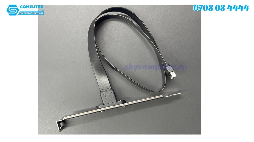 Cáp Chuyển đổi Type E Header Cắm Main Ra Usb Type C 1403